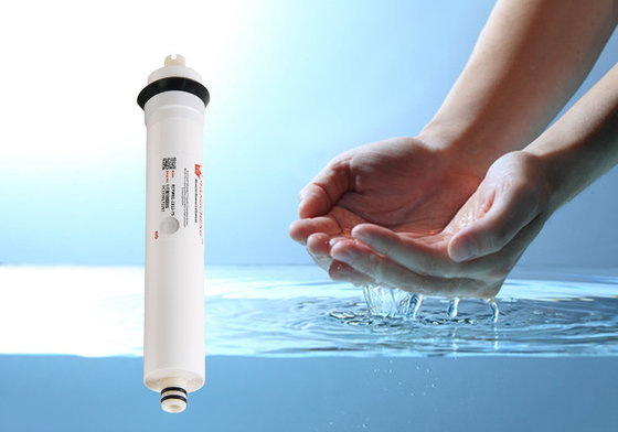 Domestic 100gpd RO System Membrane For Drinking Water / Household Water Purifier