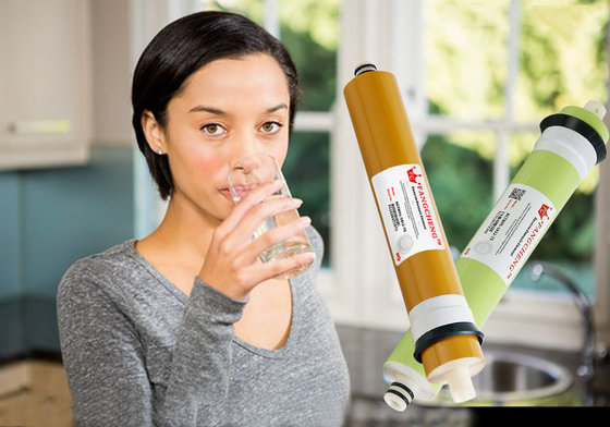 100 GPD Dry Ro Membrane Replacement , Reverse Osmosis Cartridge 96-98% Stable Rejection