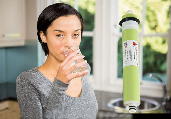 75GPD Ro Filter Membrane Replacement , Pure Water Systems Filter Replacement 