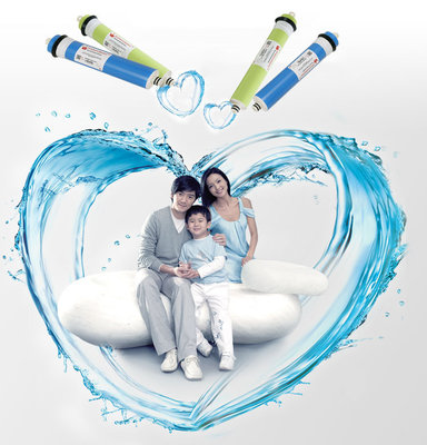 Domestic 100gpd RO System Membrane For Drinking Water / Household Water Purifier