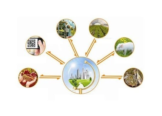 Remote Control Modbus RTU Terminal WIFI Serial Port Communication For Agricultural Park