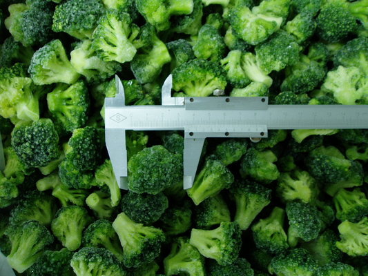 Frozen IQF Broccoli