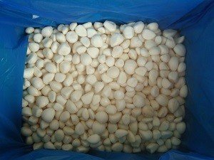 Frozen IQF Garlic Cloves