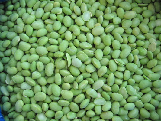 Frozen IQF Soy Bean Kernel