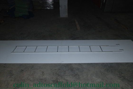 hot sale hot dipped galvanized steel scaffolding Monkey Ladder used in construction