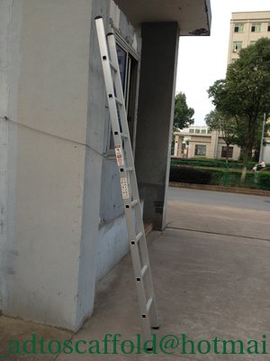 Years of experience： budget durable steel Aluminum Single Straight Scaffolding Ladder for sale in construction