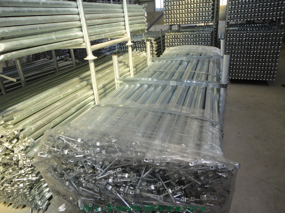 hot sale hot dipped galvanized metal scaffolding Ringlock Vertical/Diagonal Brace used in construction