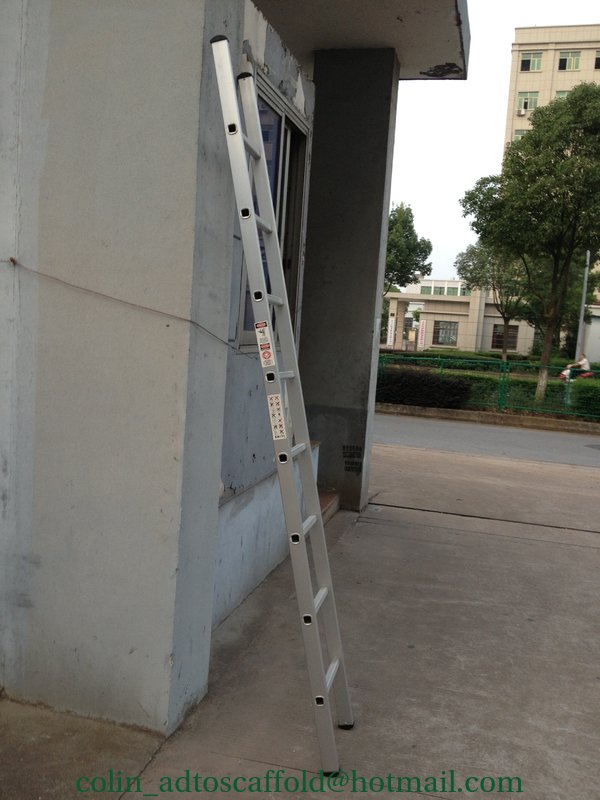 Years of experience： budget durable steel Aluminum Single Straight Scaffolding Ladder for sale in construction