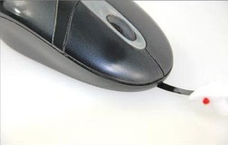 China S36 sensor supplier
