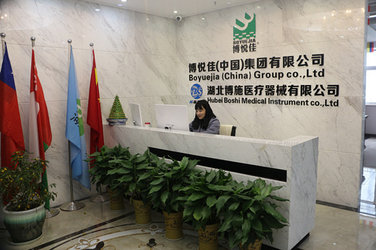 Hubei Boyuejia Industrial Co., Ltd.