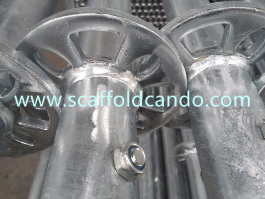 60mm OD Q235 Q345 hot dip galvanized ringlock standard vertical 3000mm 2000mm 1000mm with good quality low price