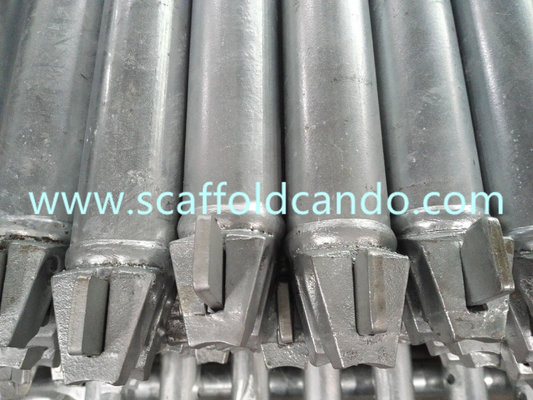 Scaffold ringlock ledger hot dip galvanized Q235 steel ledger horizontal 900mm 1200mm 1500mm 1800mmL for  ringlock