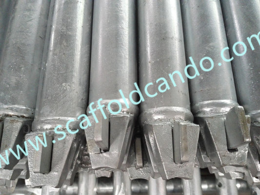 Q235 Q345 48.3mm scaffolding ringlock ledger horizontal 900mm 1200mm 1500mm 1800mm L for Ringlock scaffold system