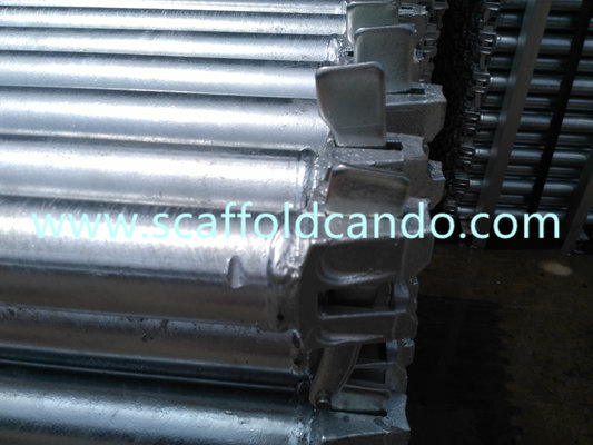 1800mm, 1500mm,1200mm Q235 hot dipped galvanized Ringlock scaffold ledger,horizontal for ringlock system scaffolding