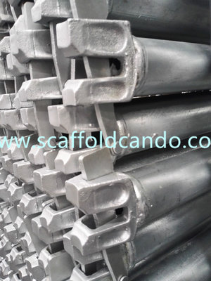 Factory specialized in Hot dip galvanized painted Ringlock scaffold ledger horizontal 1200,1500,1800mmL for sale