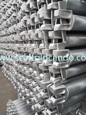 Factory specialized in Hot dip galvanized painted Ringlock scaffold ledger horizontal 1200,1500,1800mmL for sale