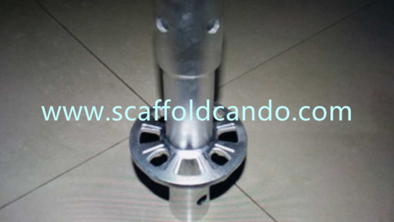 Hot dipped galvanized Q235 Ringlock base collar basic socket 300mm, 280mm,240mm for supporting ringlock system standard