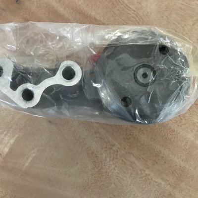 Original LG936L Wheel Loader Spare Parts 4110001007017 FUEL PUMP