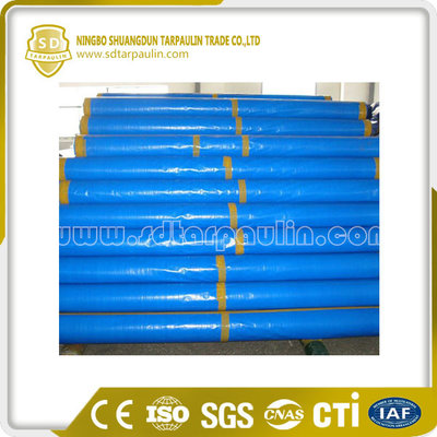 Poly Tarpaulin Plastic Tarp Camping Ground Sheet