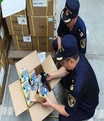 China SeeHog Customs broker Service Co., Ltd