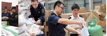 SeeHog Customs Broker & Customs Clearance in China Service