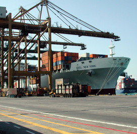SeeHog Customs Broker & Customs Clearance in China Service