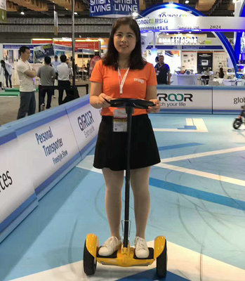 Mini Standing Self Balance Segway Electric Scooter 10 inch Tire With Handle Bar