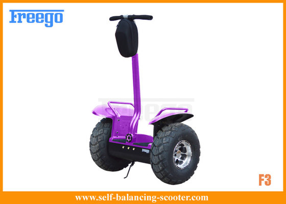 Zelf Evenwichtig van Wegautoped Segway