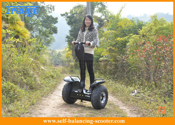 Elektrisch 14 duimwiel van de Vertoning van de het Schermbatterij van Roading Segway 36v LCD