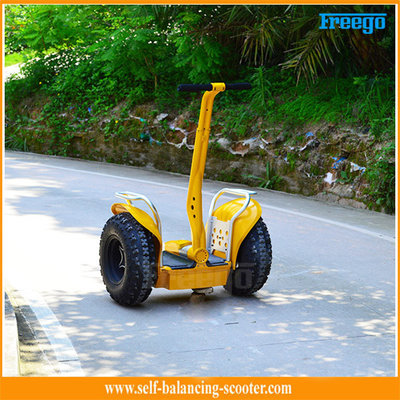 Brushless Off-Road 2 Wiel Elektrische Bevindende Autoped met 21“ Opschortingsband