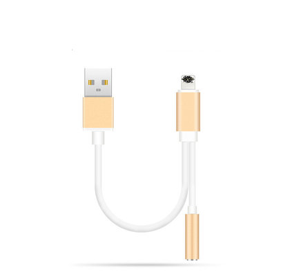 2 in 1 Charge and Audio Iphone 7 8 Earphone Headphone Jack Adapter Connector Cable 3.5mm Aux Headphone Jack