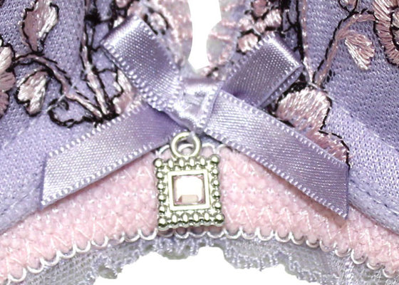 La remplissage exquise de gel de dentelle de broderie soulèvent le soutien-gorge, décoration chic d'arc