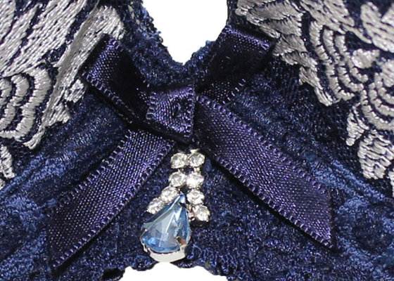 L'excellente dentelle brodée adaptée aux besoins du client capitonnée soulèvent le soutien-gorge avec l'arc exquis