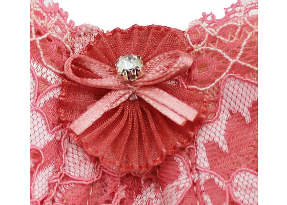 Les fleurs riches lacent la mode minuscule confortable d'arc de Bralette Underwire