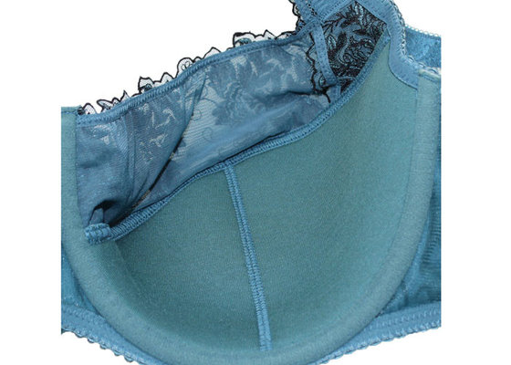 Tissu figure fantastique d'élégance de satin de jacquard de dentelle brodé par soutiens-gorge de Teal plein