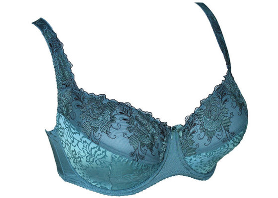 Tissu figure fantastique d'élégance de satin de jacquard de dentelle brodé par soutiens-gorge de Teal plein