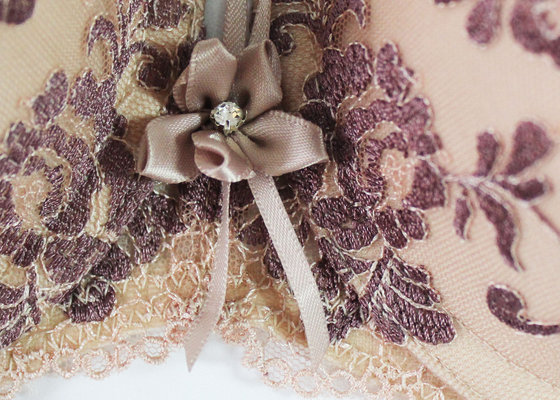 Mode sexy de couleur de contraste de soutiens-gorge d'Underwire Demi de dentelle beige de luxe