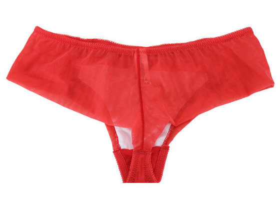Madame culottes d'Embroided de sous-vêtements transparents sexy de maille jeune avec l'arc