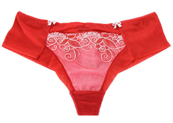 Madame culottes d'Embroided de sous-vêtements transparents sexy de maille jeune avec l'arc
