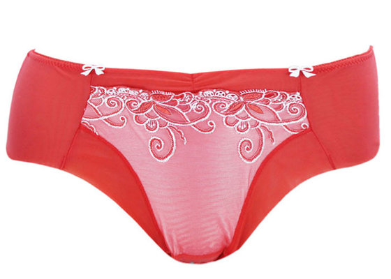 Madame culottes d'Embroided de sous-vêtements transparents sexy de maille jeune avec l'arc