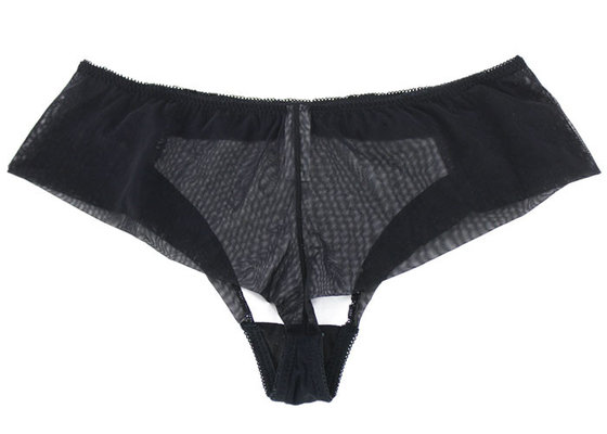 Sexy plus la maille de dossiers brodée par taille de jeune Madame bikini voir cependant la culotte
