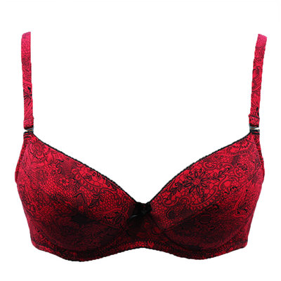 Soutien-gorge américain de fleur d'impression de tissu de Microfiber de qualité de marque Underwired doux plus des soutiens-gorge de taille adaptés aux besoins du client