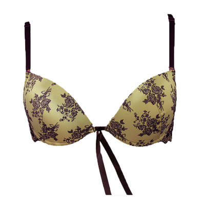 Les femmes sexy de 3/4 tasse capitonnées soulèvent le centre de soutien-gorge de plongeon avec le lien de dentelle de ruban