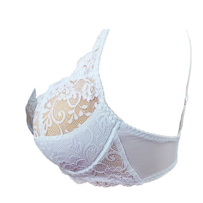Modestie avant centrale élevée complètement figure renversante Balconnet de soutiens-gorge de dentelle de fleur de bout droit