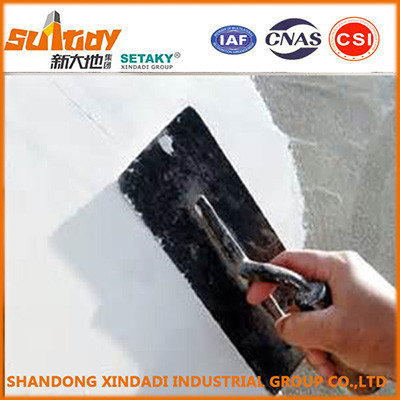 setaky 505R5 redispersible dispersion polymer powder for waterproof mortar used with MHEC