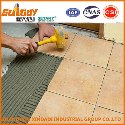 setaky 505R5 redispersible dispersion polymer powder for tile grout used with MHEC