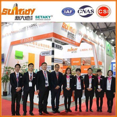 redispersible polymer powder for dry mixed mortar china RDP factory 505R5