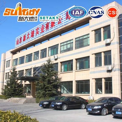 VAE emulsion powder redispersible polymer powder for tile adhesive china factory 505R5