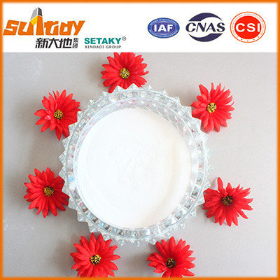 setaky 505R5 redispersible dispersion polymer powder for skim coat used with MHEC