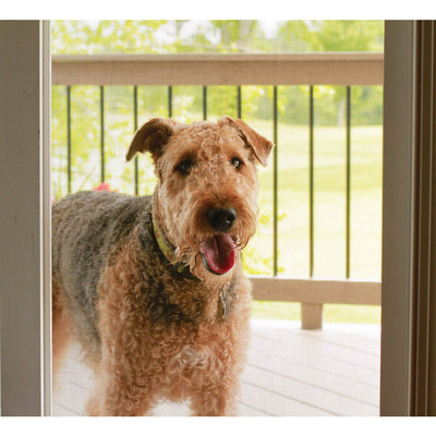 Anti-scratch of cats waterproof durable Pets mesh for screen window and door